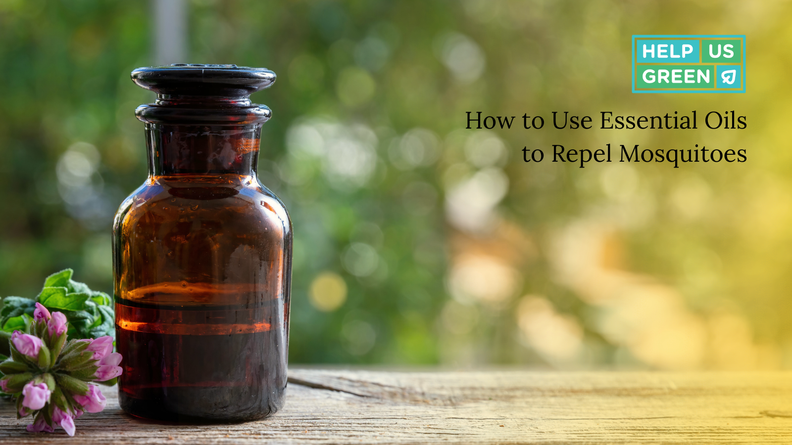 How to Use Essential Oils to Repel Mosquitoes