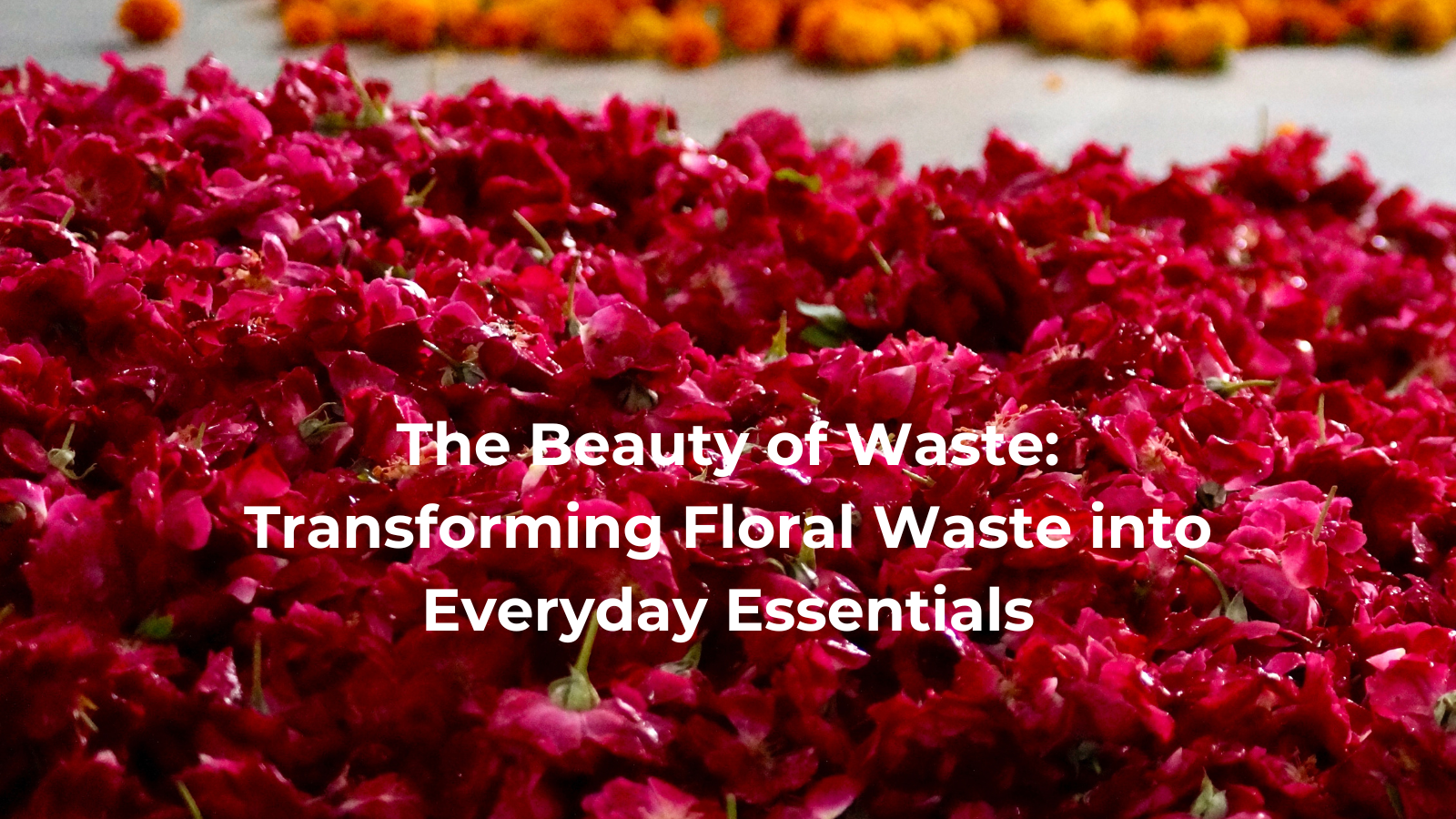 The Beauty of Waste: Transforming Floral Waste into Essentials