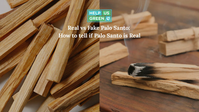 Real vs Fake Palo Santo: How to tell if Palo Santo is Real