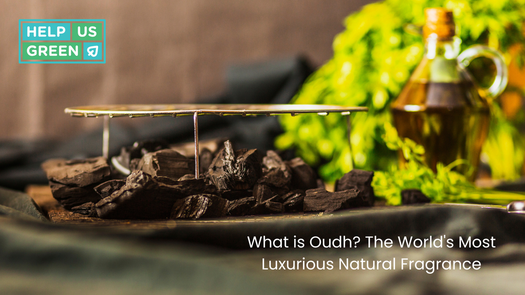 What is Oudh? The World's Most Luxurious Natural Fragrance – Help Us Green