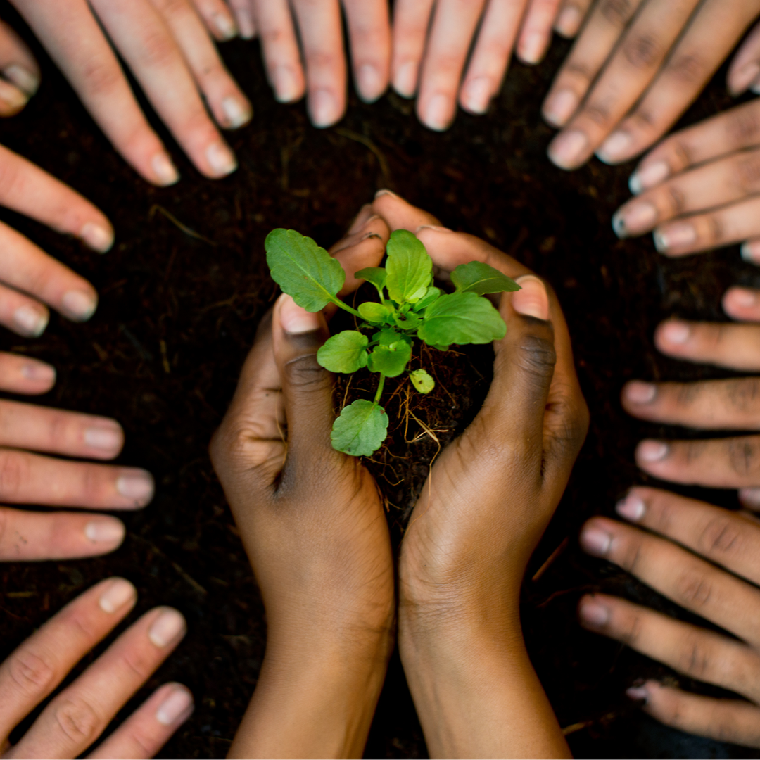 Sustainable Incense from Temple Flowers | Help Us Green